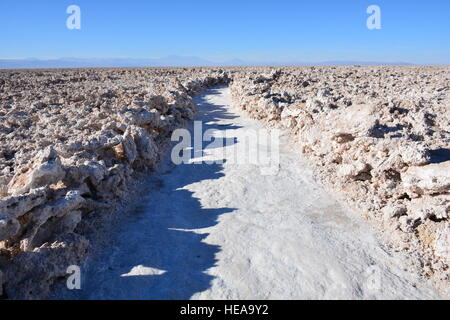 Salt flats lake in Atacama desert Chile Stock Photo - Alamy