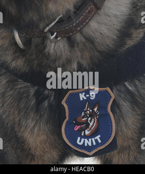 A detailed shot of U.S. Air Force Capt. José D. Rodriguez, a clinical ...