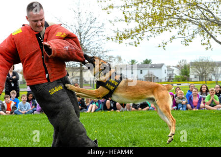 Staff Sgt. William Watson, 375th Security Forces Squadron military ...