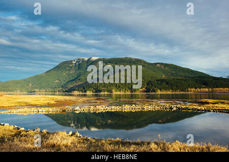 The Chehalis Flats Bald Eagle & Salmon Preserve in Harrison Mills ...