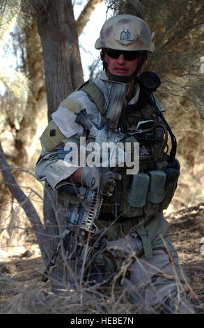 U.S. Army soldiers from Echo Company, 4th Battalion, 501st Aviation ...