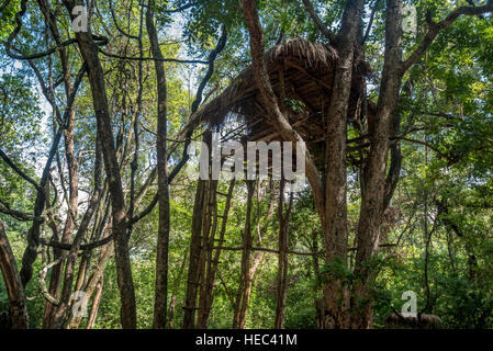 House of vedda people Stock Photo - Alamy