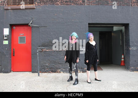 New York, US. 10th Aug, 2016. FILE - The sisters Snooky (l) and Tish (r ...