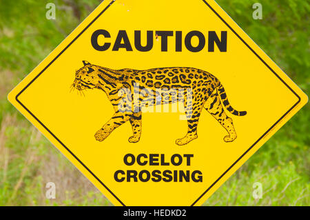 Ocelot road sign, Laguna Atascosa National Wildlife Refuge, Texas Stock ...