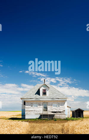 Abandoned house, homestead, Saskatchewan, Canada, Palliser Triangle ...