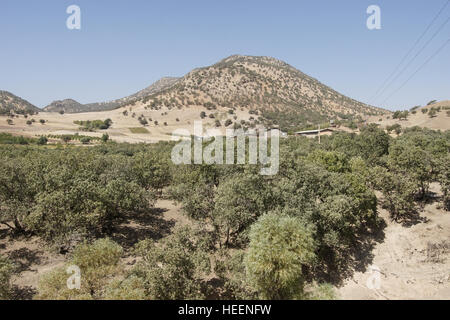 Landscape of Lorestan Province, Iran, Asia Stock Photo - Alamy