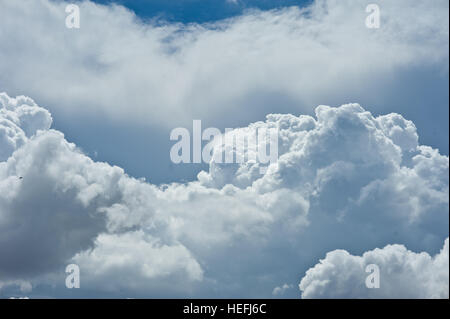 the beautiful white cloud cloudy nimbus blue sky nature landscape ...