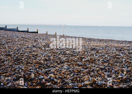The pebble beach at Whitstable, Kent Stock Photo - Alamy