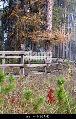 A wooden fence with pine trees and a gray sky in the background Stock ...