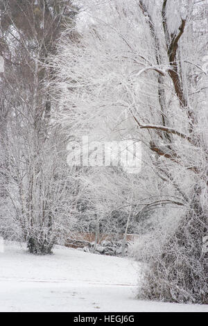First snowfall of the winter in the center of Strasbourg, France, on ...
