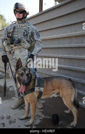 Soldiers from the K-9 dog unit works with his partner to during a ...