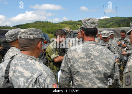 U.S. Soldiers with the 1st Battalion, 296th Infantry Regiment, 101st ...