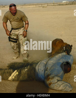 Dog handlers from the 501st Provost Marshall’s Office, K-9 Division ...