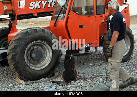 An American K-9 Detection Services (AMK9) working dog bites a U.S Stock ...