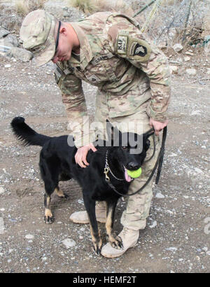 Spc. Hugo, explosive detection dog with the Tactical Explosive ...