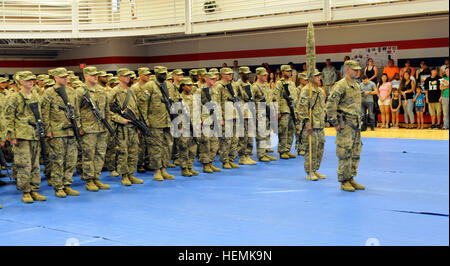 Soldiers from the 553rd Combat Sustainment Support Battalion, 4th ...