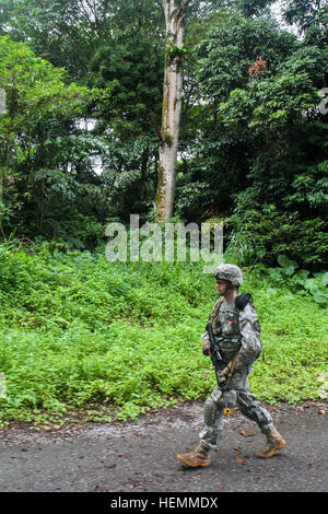 Singapore soldiers with 2nd Battalion, Singapore Infantry Regiment ...