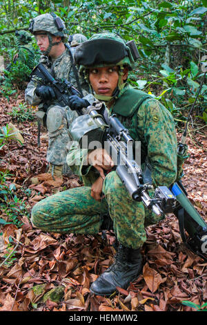 SINGAPORE - U.S. Army Soldiers and Singapore Armed Forces pose for a ...
