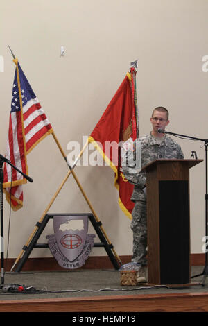 The 49th Transportation Battalion Command Sgt. Maj. Tamara Williams ...