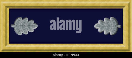 Union Army LTC rank insignia Stock Photo - Alamy