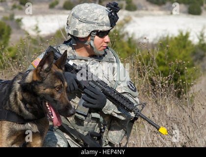 Military working dog teams from the 379th Expeditionary Security Forces ...
