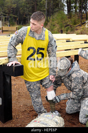 Soldiers of Alpha Company, 141st Brigade Support Battalion, 41st ...