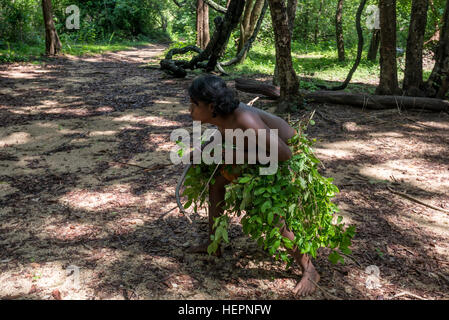 DABANA, SRI LANKA - CIRCA DECEMBER 2016: Vedda men tribal drawings and ...