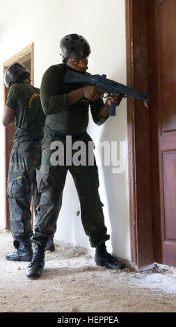Cameroonian and Nigerian Special Forces groups collaborate during ...