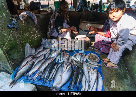 Cherrapunjee: Market; Fish sales, Meghalaya, India Stock Photo - Alamy