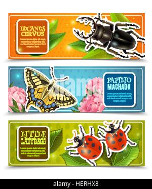 Insects horizontal banners set with ladybugs and machaon realistic ...