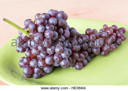 Black Corinth grapes cluster, Champagne grapes isolated on white Stock ...