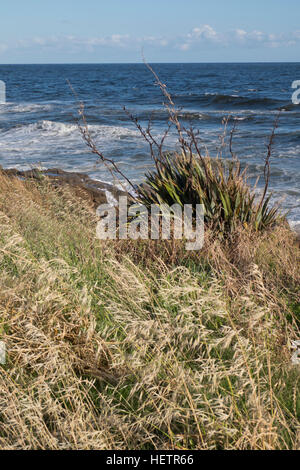 The beach in Punta Colorada, Uruguay, South America Stock Photo - Alamy