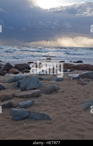 The beach in Punta Colorada, Uruguay, South America Stock Photo - Alamy