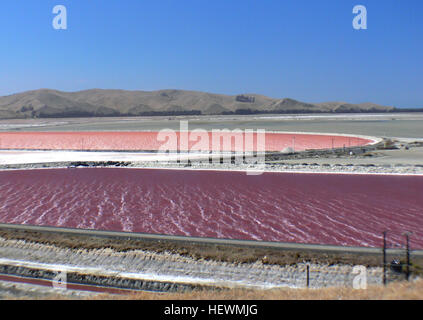 The Grassmere Salt Works in Marlborough, New Zealand, is known for ...