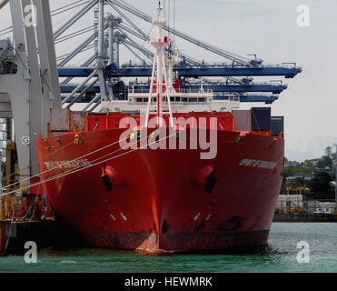 The Singapore-flagged container ship, built in 2007, has a gross ...