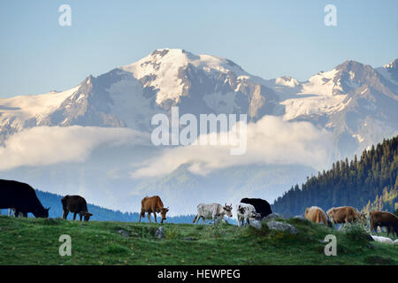 Mazeri Village Area, Caucasus, Svaneti, Georgia Stock Photo: 129644219 ...