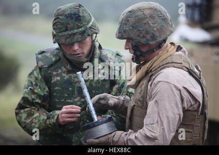 Lt. Col. Timothy E. Barrick, the 1st Tank Battalion commanding officer ...