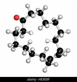 Civetone civet cat pheromone molecule. Used in perfume. Stylized ...