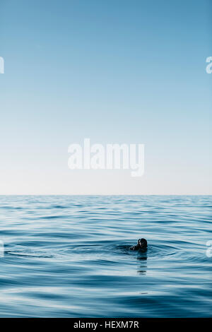 Man practicing free diving in the sea Stock Photo - Alamy