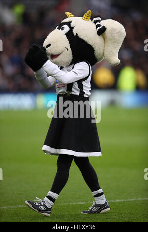 Derby County mascot Ewie Stock Photo - Alamy