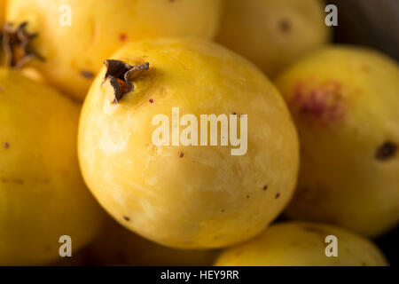 Raw Organic Yellow Guava Fruit Ready to Eat Stock Photo - Alamy