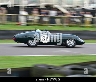 David Hart, Lister-Jaguar Costin, Sussex Trophy, cars that raced ...