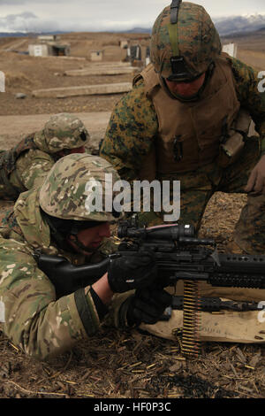 Agile Spirit-12 (7 Stock Photo - Alamy