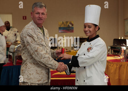 Col. Philip J. Zimmerman, commanding officer of Marine Corps Air ...