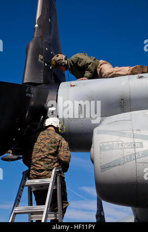 Helicopter mechanics and crew chiefs with Marine Light Attack ...