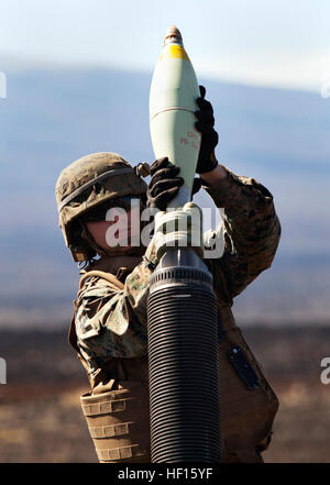 Marines from Bravo Battery, 1ST Battalion, 12th Marines, 3rd Marine ...