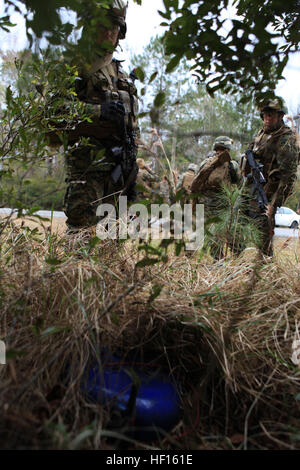 Marines of the 2nd Light Armored Infantry Battalion, 4th Marine ...