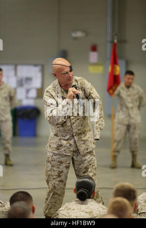 Members of the 2nd Marine Logistics Group stand in formation during the ...