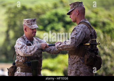 U.S. Marines Sgt. Maj. Justin Stokes salutes to Lt. Col. Gary D ...
