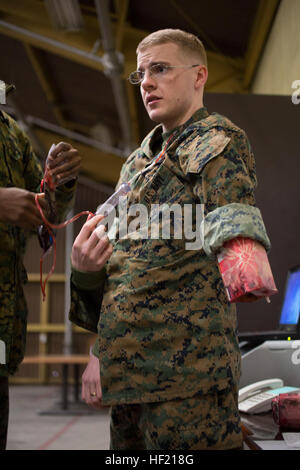 A Navy Religious Program Specialist with Combat Logistics Battalion 26 ...